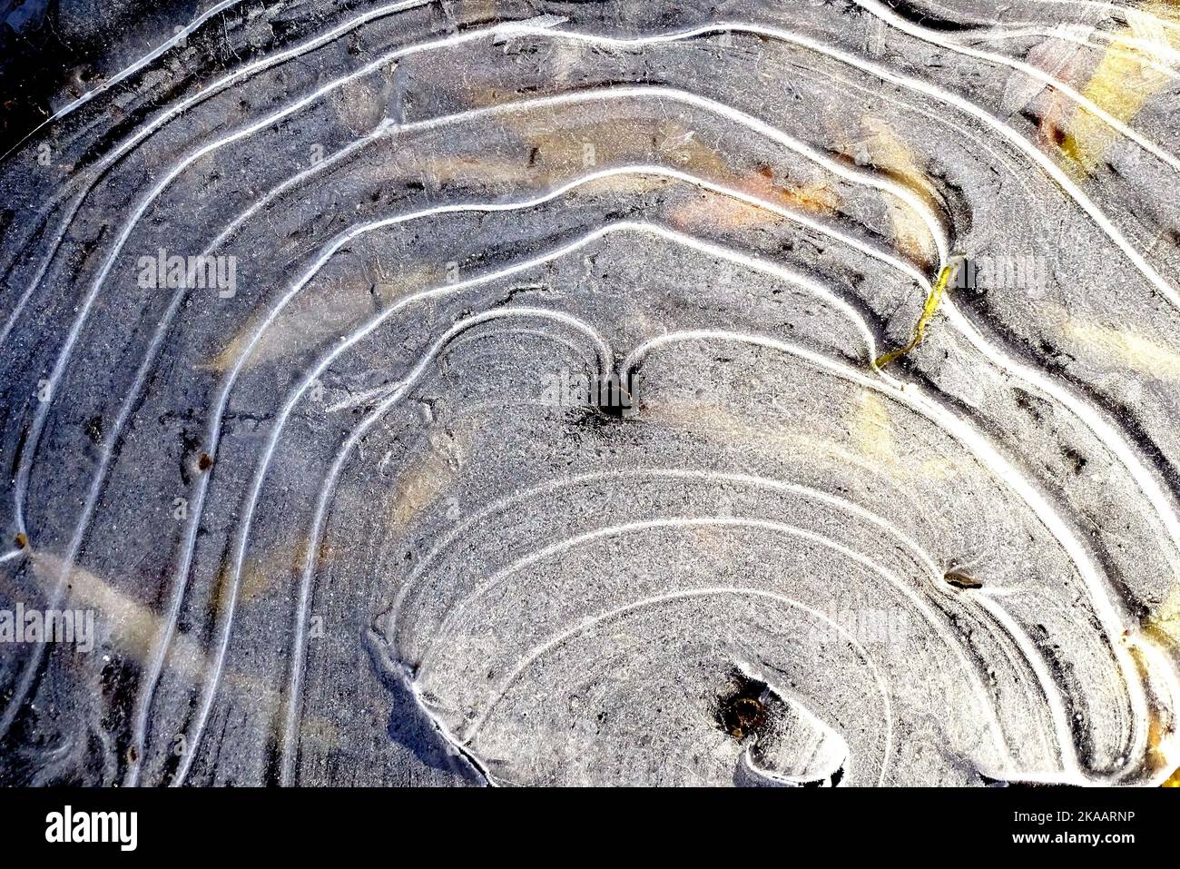 Aerial photos show different shapes of ice covered the Songhua River ...