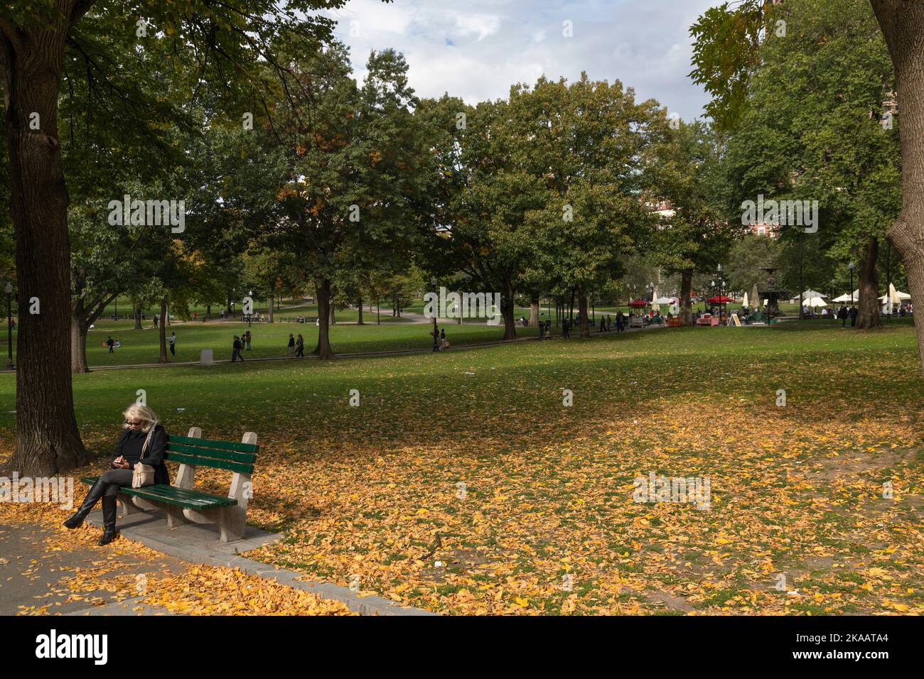 Boston common park bench hi-res stock photography and images - Alamy