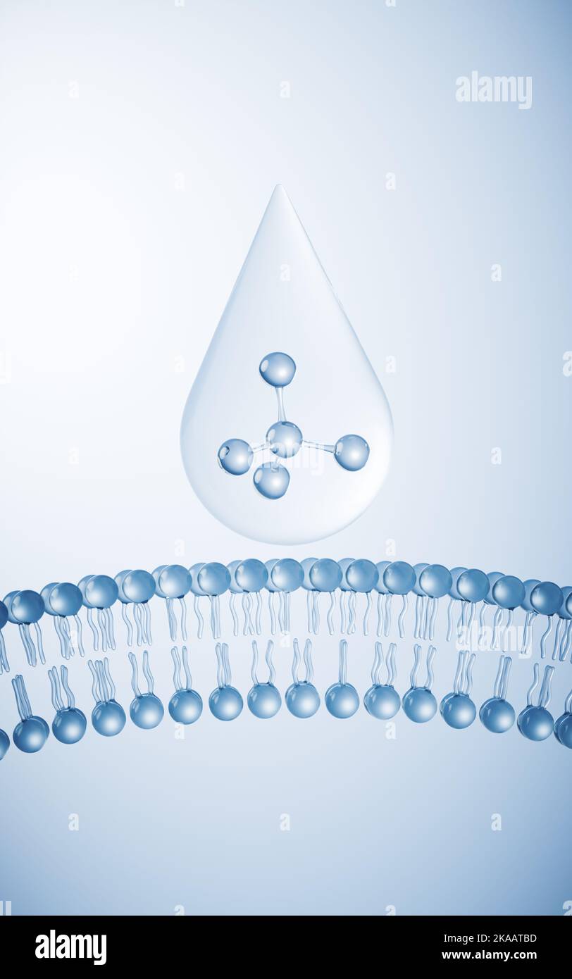 Transparent cytomembrane structure, 3d rendering. Digital drawing Stock ...