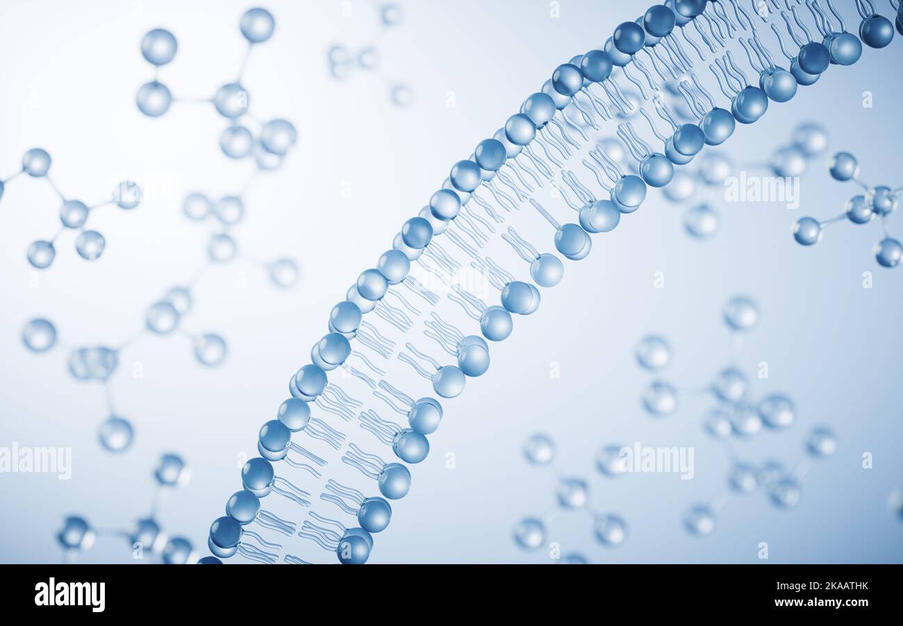 Integral structure hi-res stock photography and images - Alamy