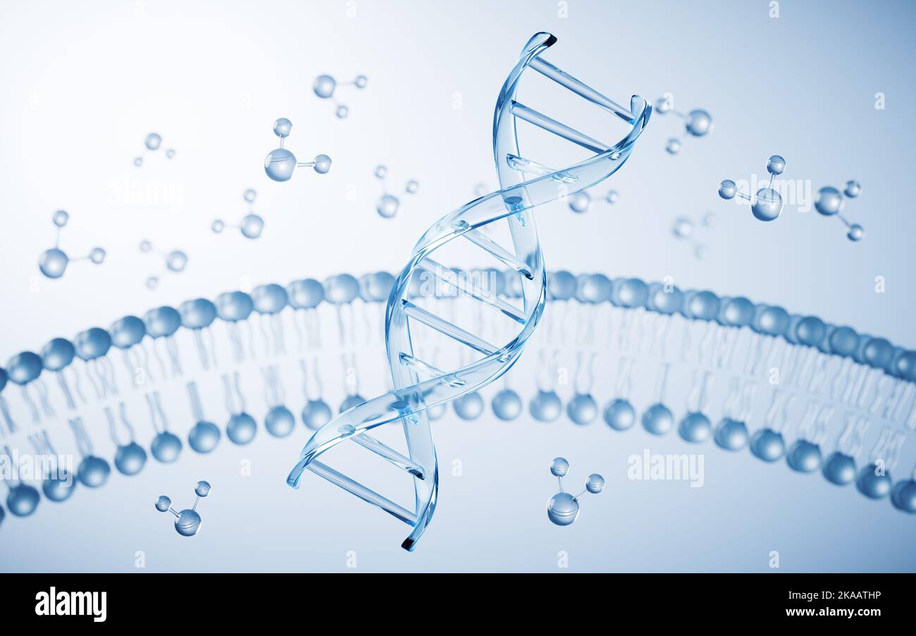 Cytomembrane biology life health 3d hi-res stock photography and images ...