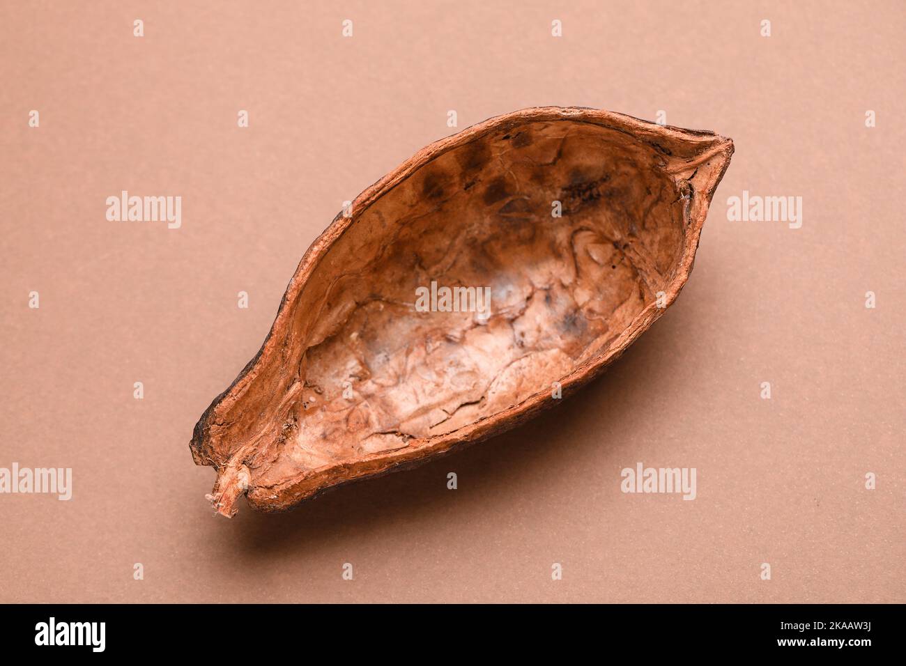 Cocoa fruit mexico hi-res stock photography and images - Alamy