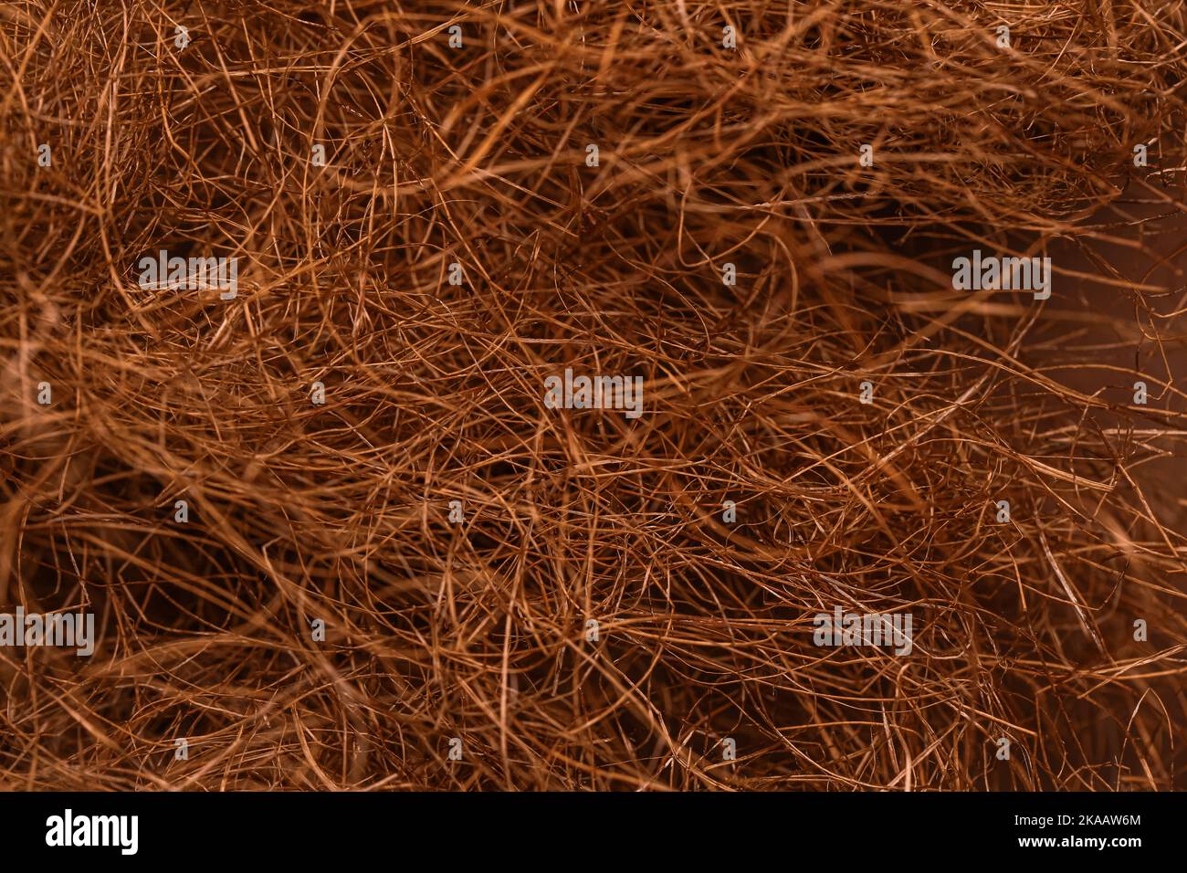 Texture of brown fibers as background Stock Photo - Alamy