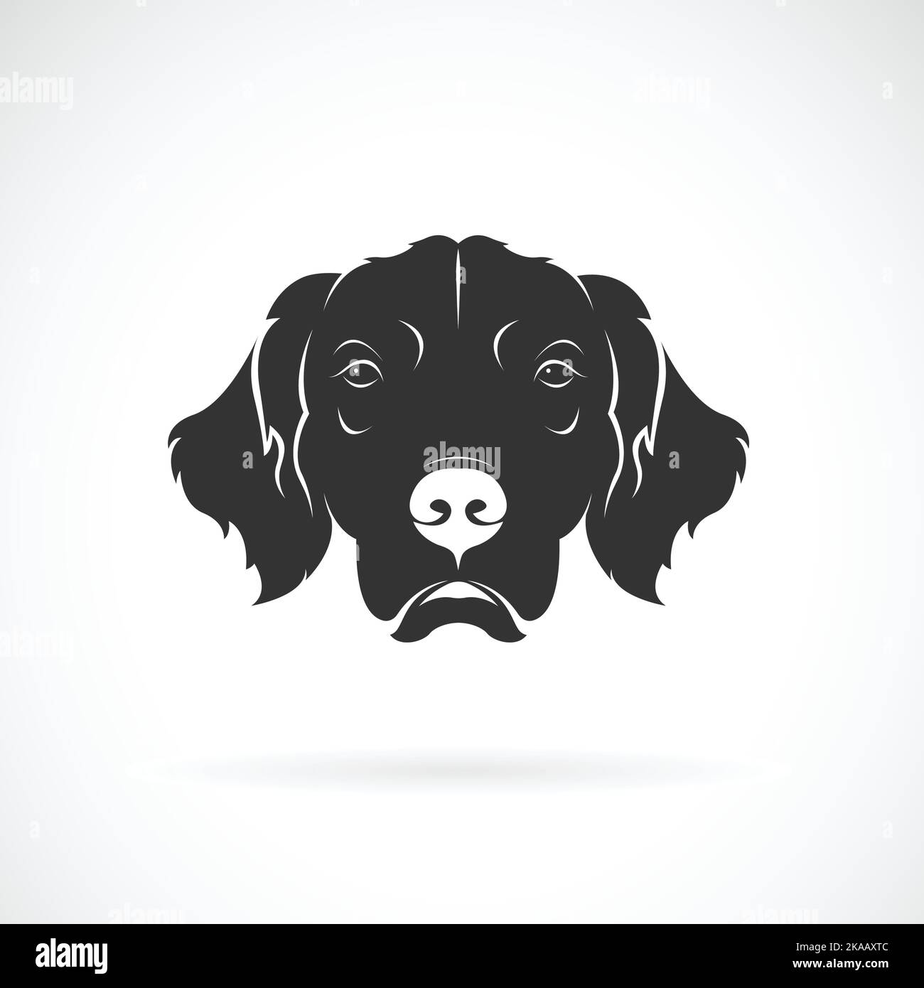 What Is Dog Head Gold at Bernice Astle blog