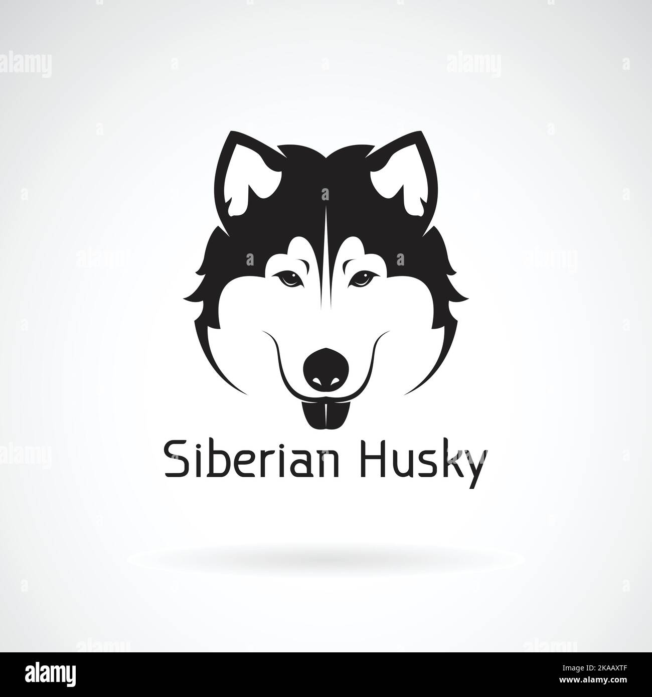 Vector of a dog siberian husky on white background. Pet. Easy editable ...
