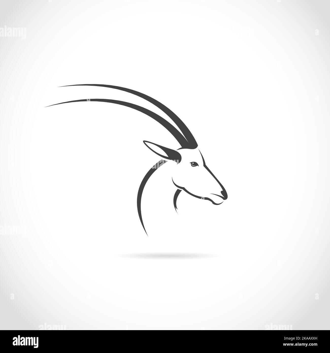 Vector image of a deer head (impala) on white background. Easy editable ...