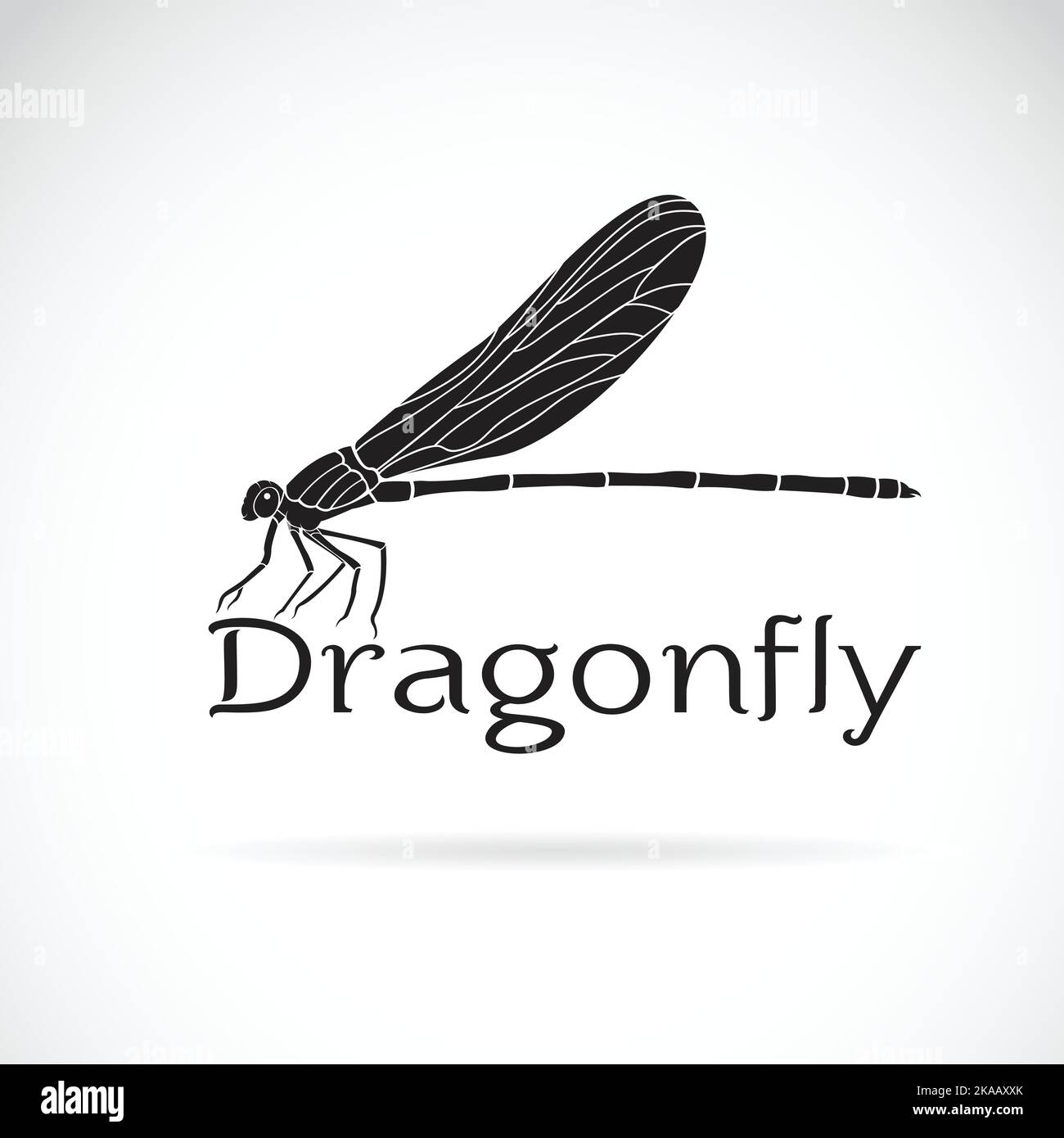 Fly Insect Logo The Most Common Household Bugs