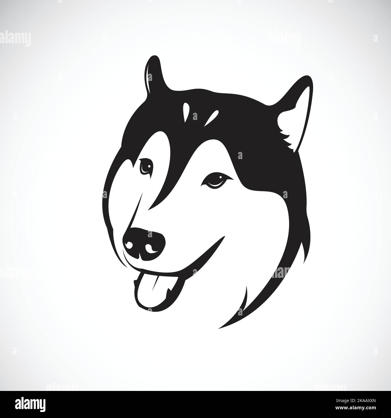 Vector of a dog siberian husky on white background. Pet. Animal. Easy ...