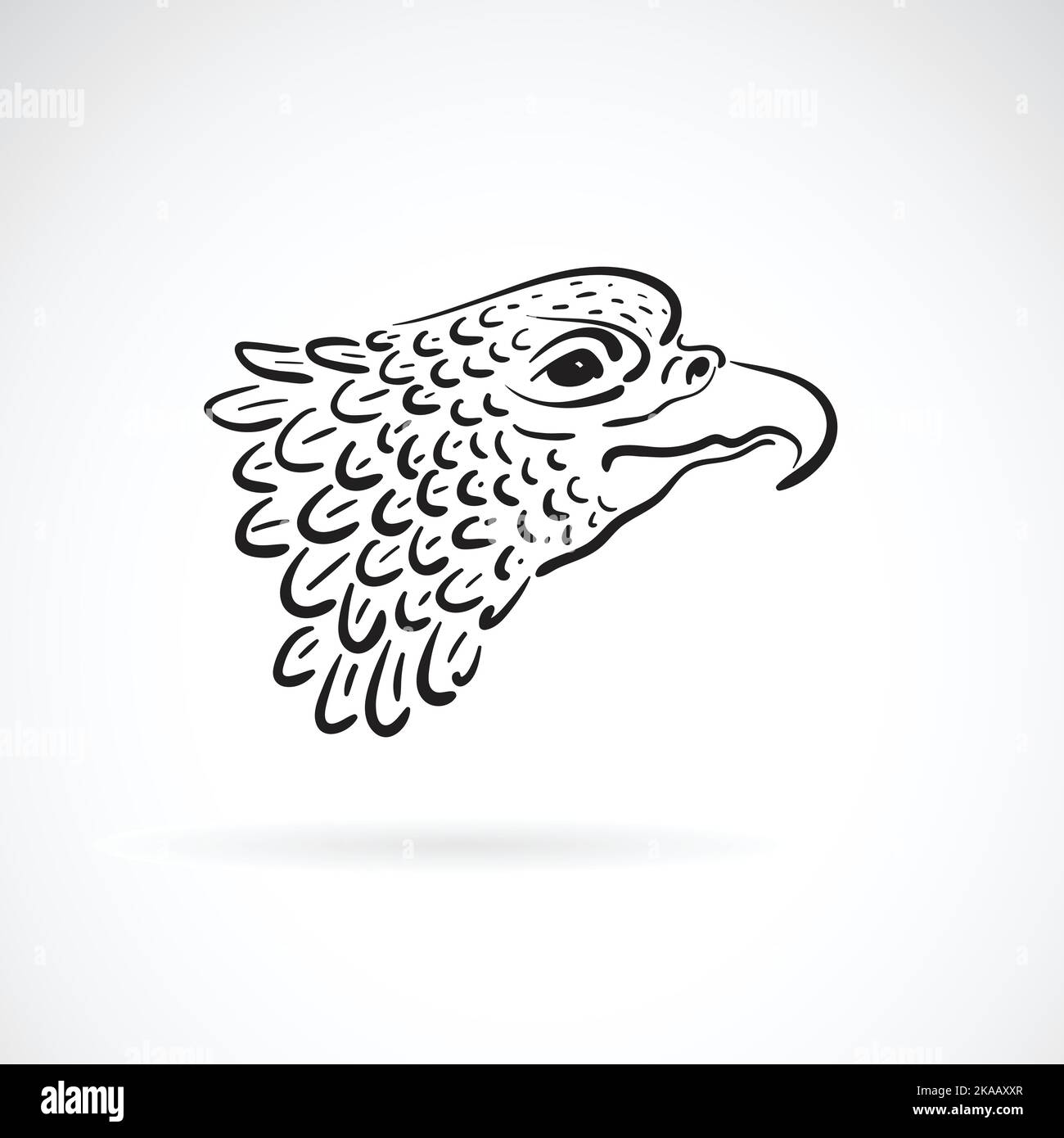 Sketch eagle head on Stock Vector Images - Alamy