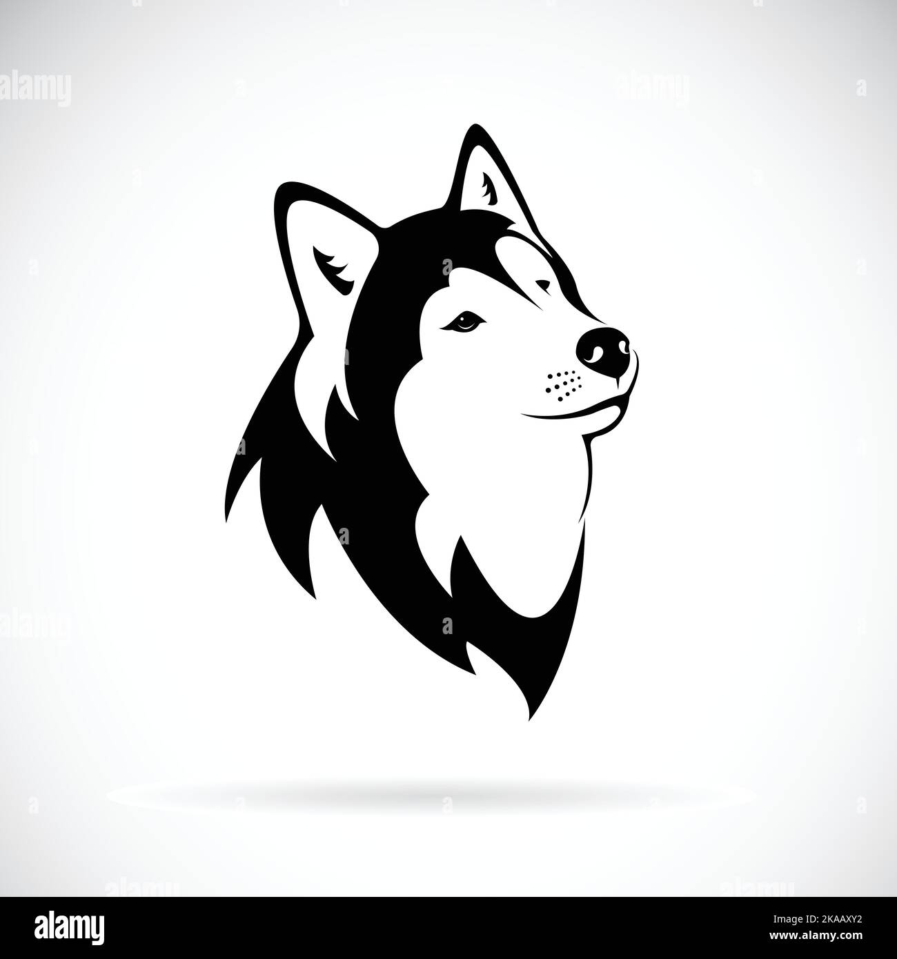 Vector of a dog siberian husky on white background. Dog head. Pet ...