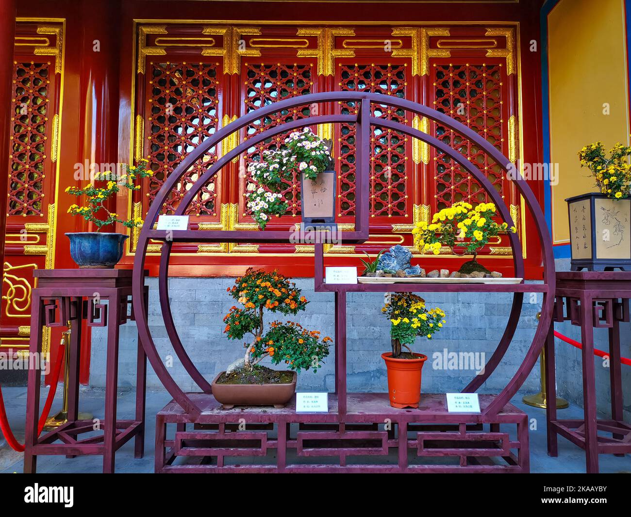 The autumn scenery of Beihai Park is particularly beautiful, Beijing ...