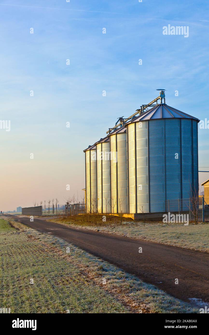 silos in the middle of a field in wintertime Stock Photo - Alamy