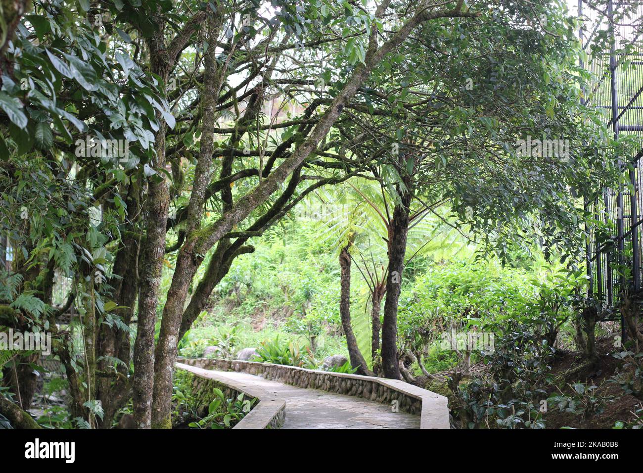 Way to nature Stock Photo - Alamy