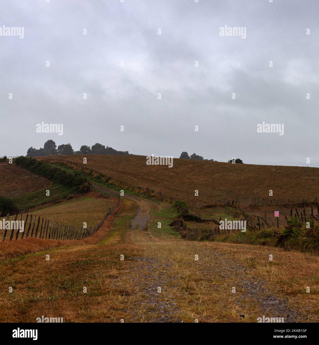 Valley under mist in the morning Amazing nature scenery along the ...