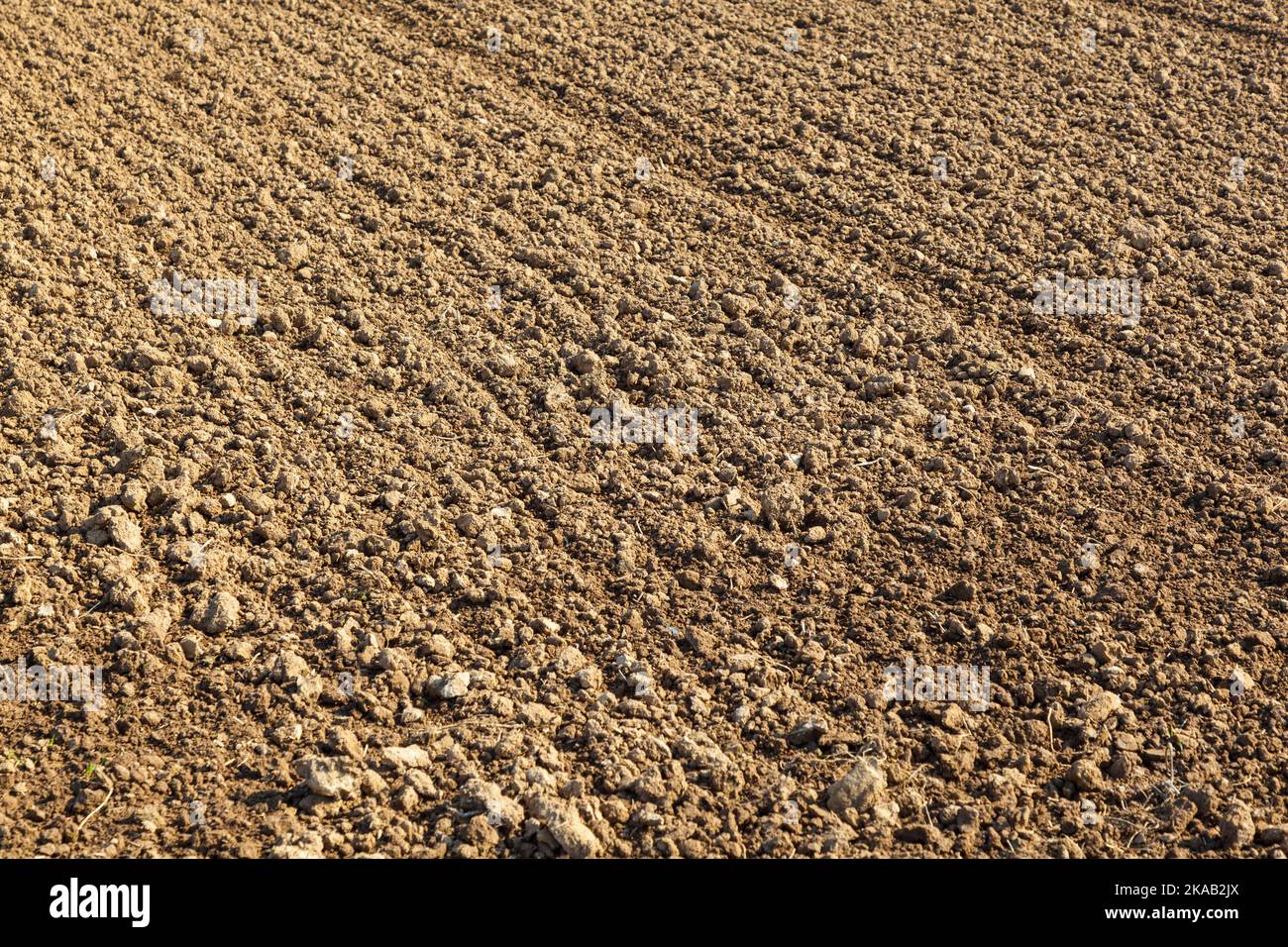freshly ploughed field in spring before the sead Stock Photo - Alamy