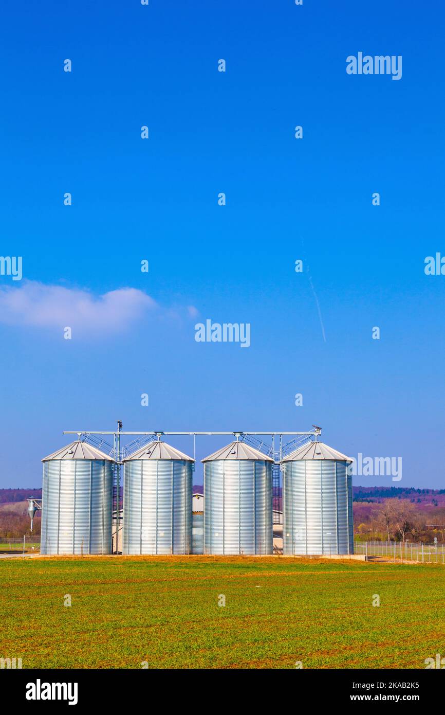 four silver silos in field under bright sky Stock Photo - Alamy