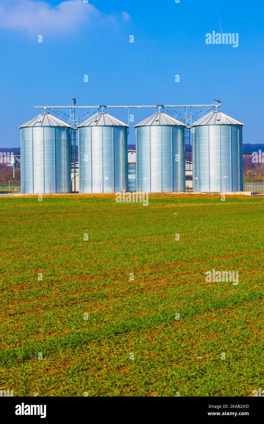 four silver silos in field under bright sky Stock Photo - Alamy