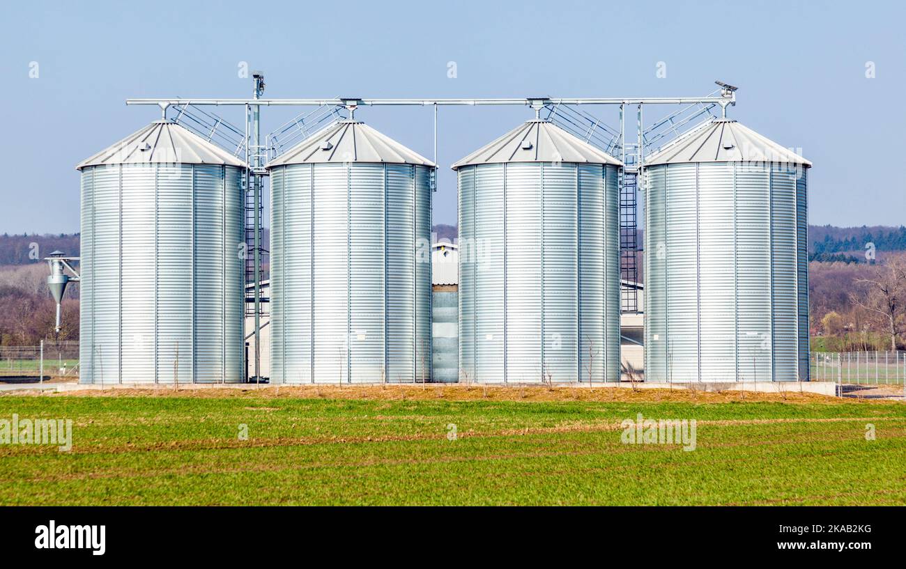 four silver silos in field under bright sky Stock Photo - Alamy