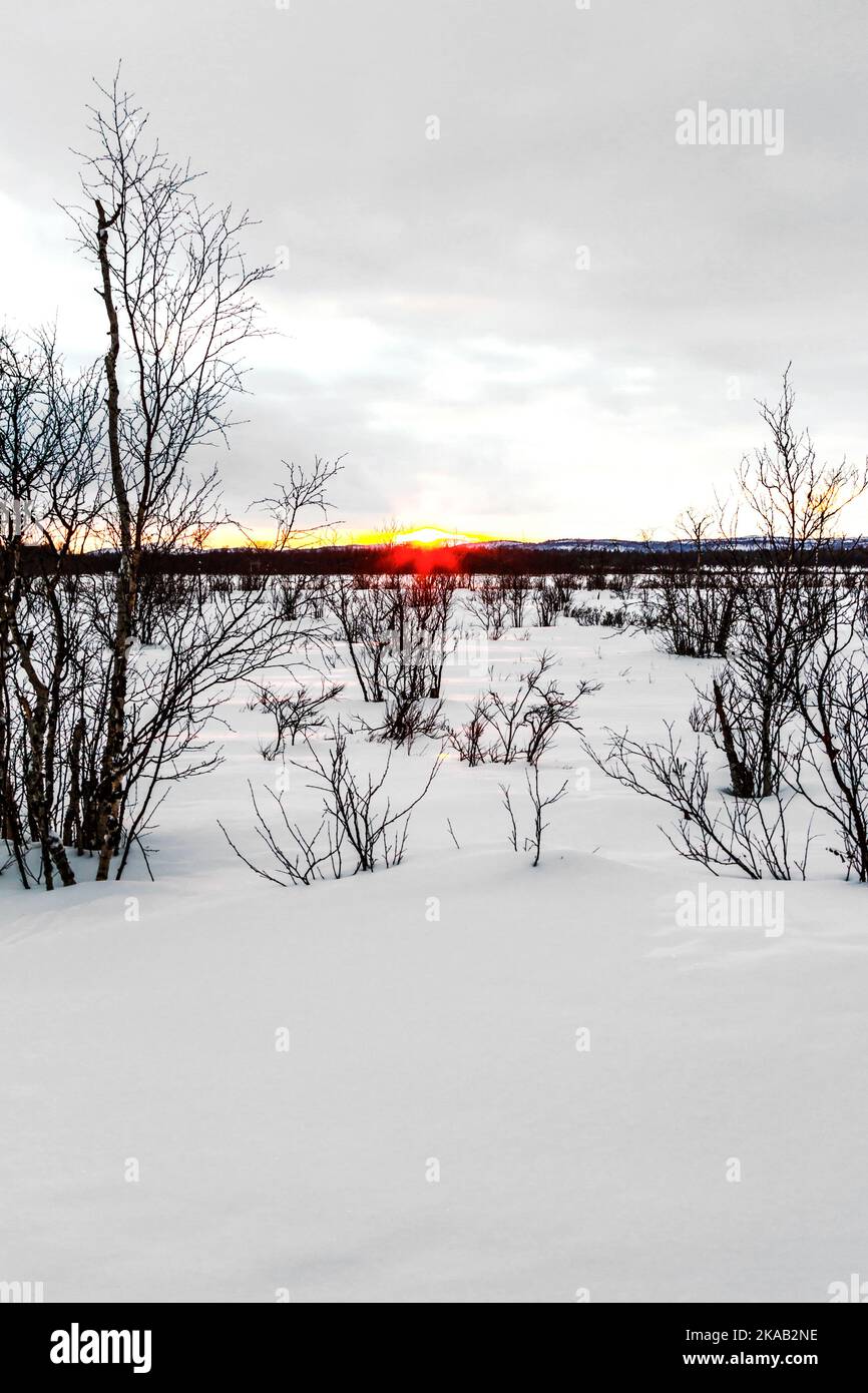 sunset in Finland over snowscape with trees Stock Photo - Alamy