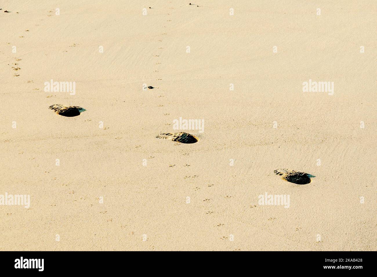 Shoes footprints symbol hi-res stock photography and images - Alamy
