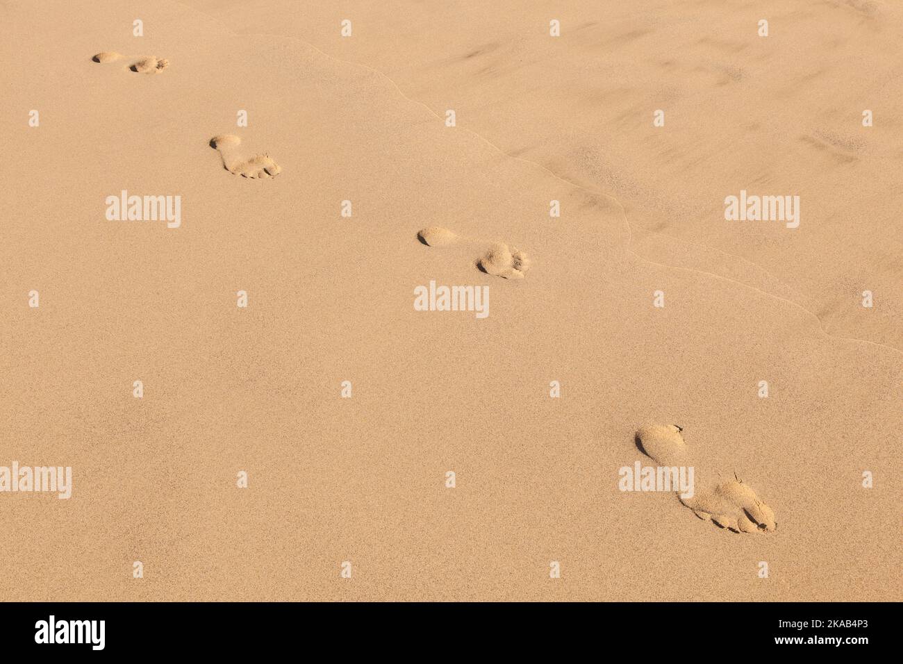 human footsteps at the clean sandy beach Stock Photo - Alamy