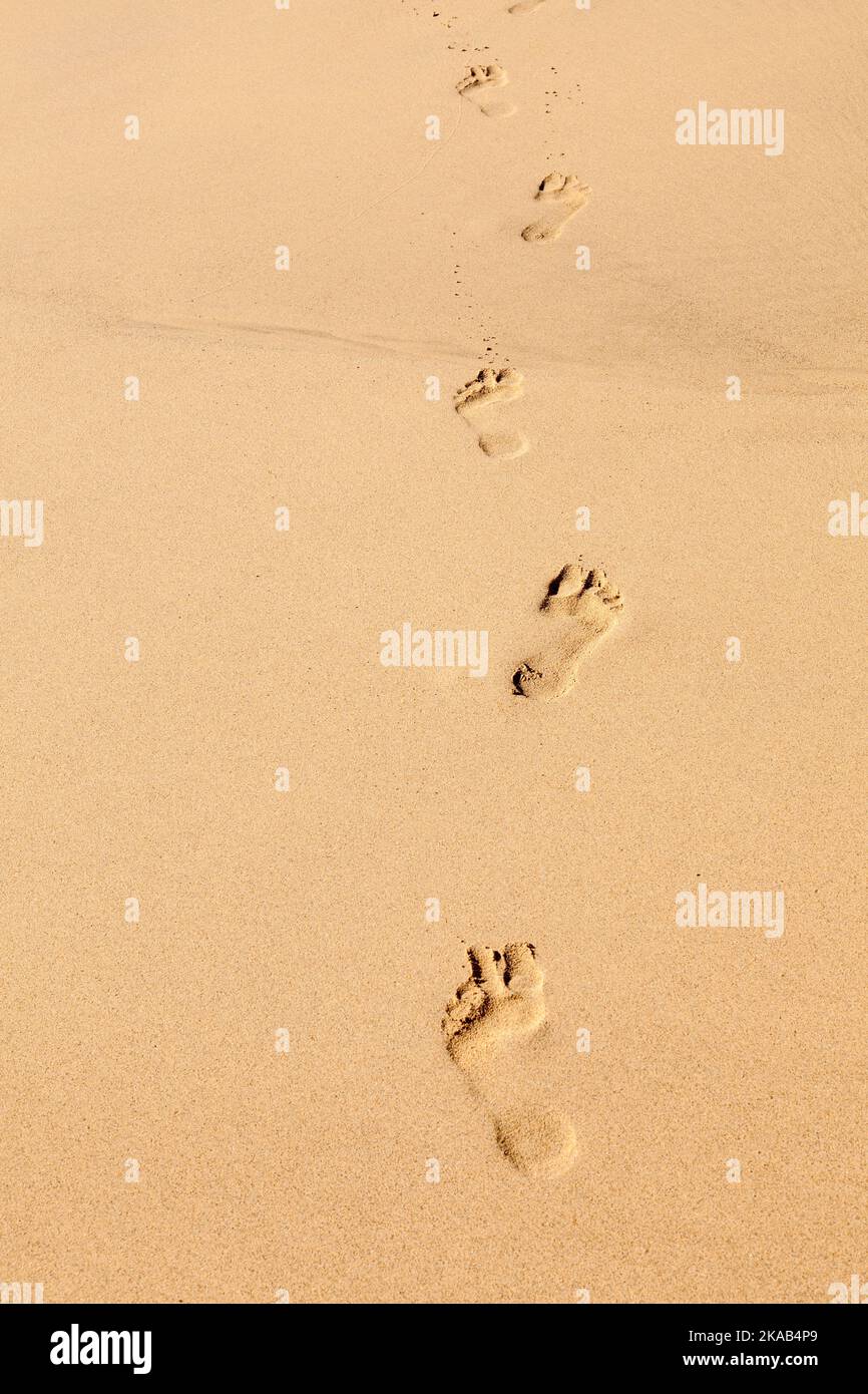 human footsteps at the clean sandy beach Stock Photo - Alamy