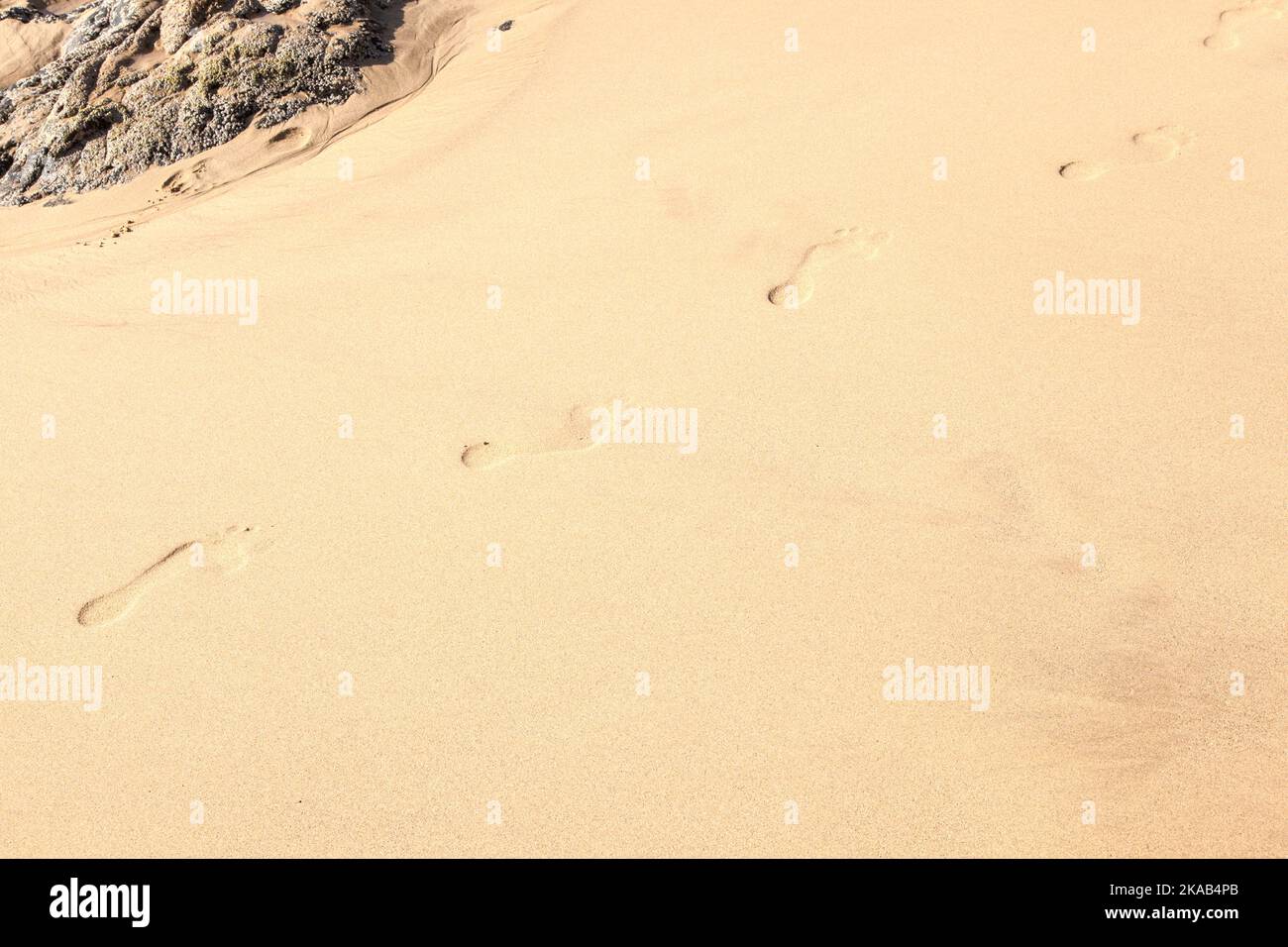human footsteps at the clean sandy beach Stock Photo - Alamy