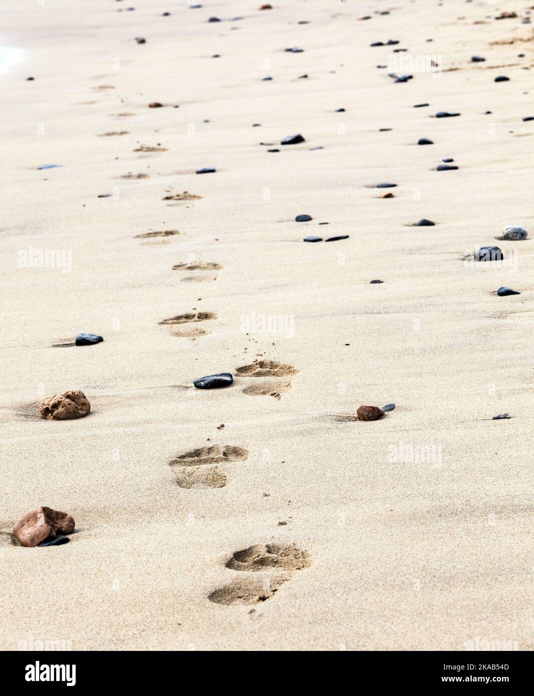 footprints on the beautiful sandy beach Stock Photo - Alamy