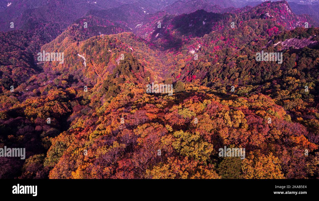 Aerial photos show the autumn scenery of Nan Wutai of the Zhongnan Mountains of the Qin ...