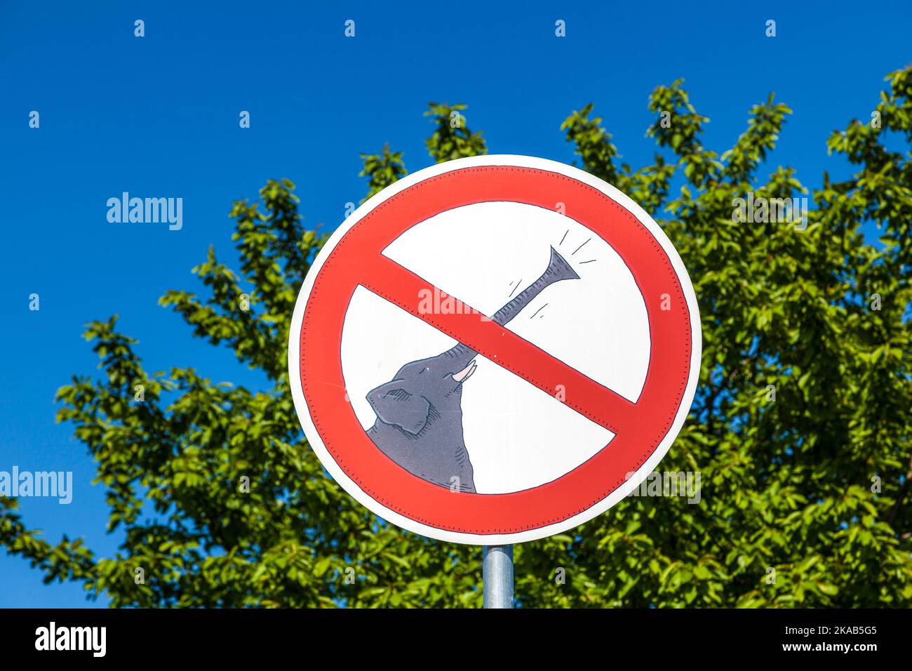 street sign under blue sky forbidden for elephants to make noise Stock ...