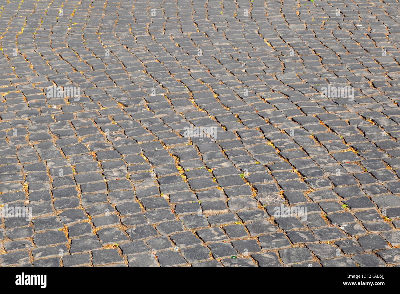 old historic cobble stone street with moss Stock Photo - Alamy