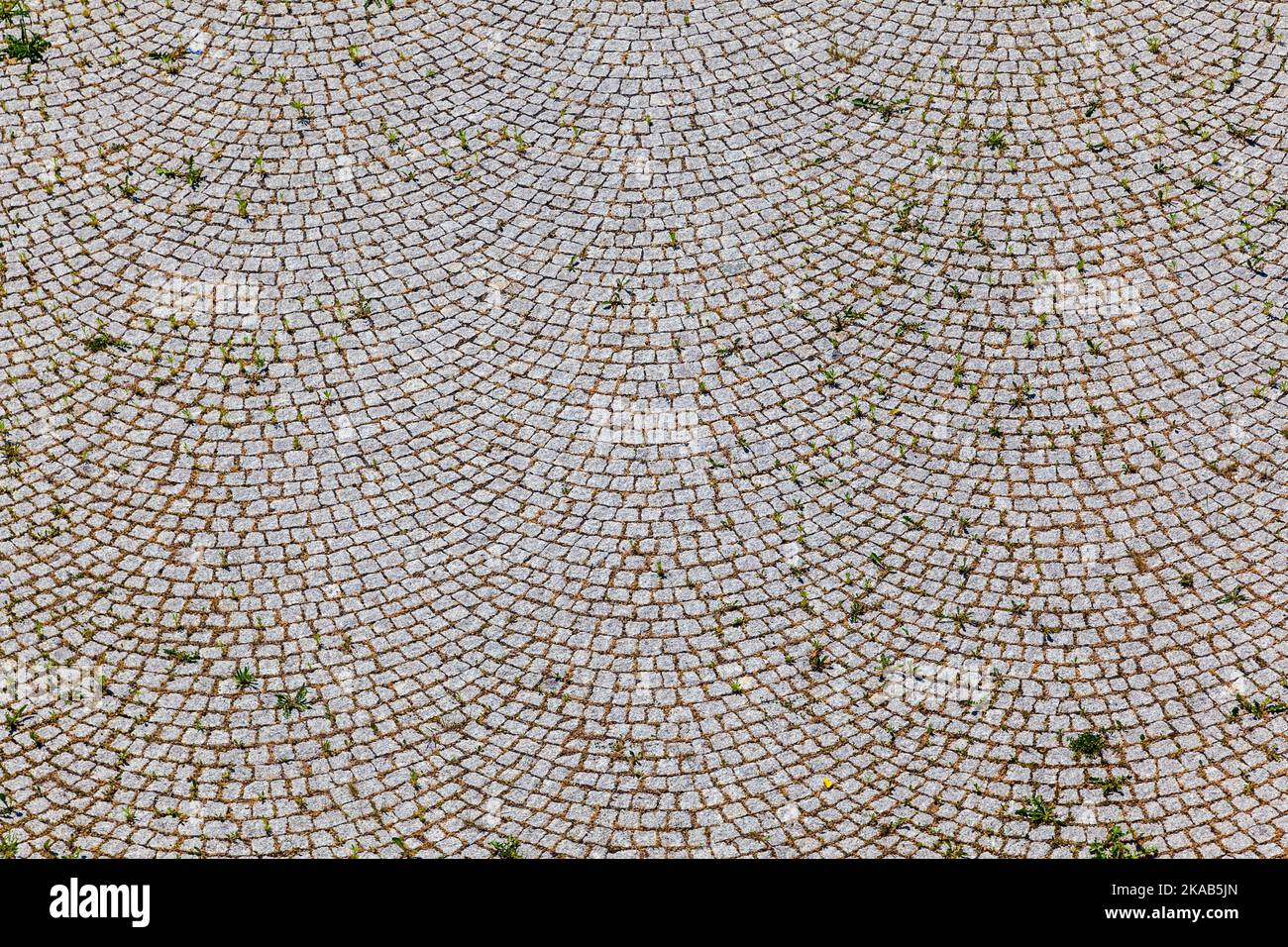 old historic cobble stone street with moss Stock Photo - Alamy