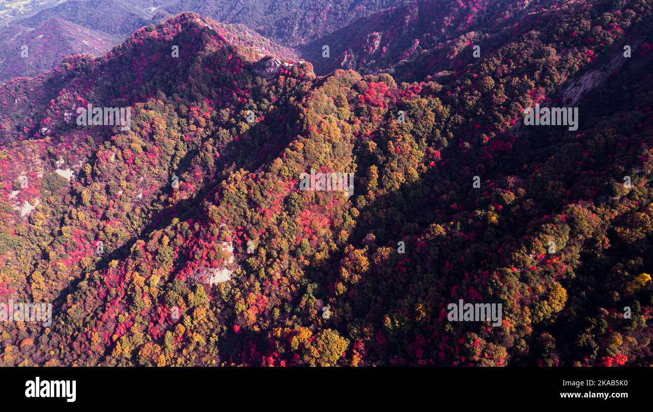 Aerial photos show the autumn scenery of Nan Wutai of the Zhongnan Mountains of the Qin ...