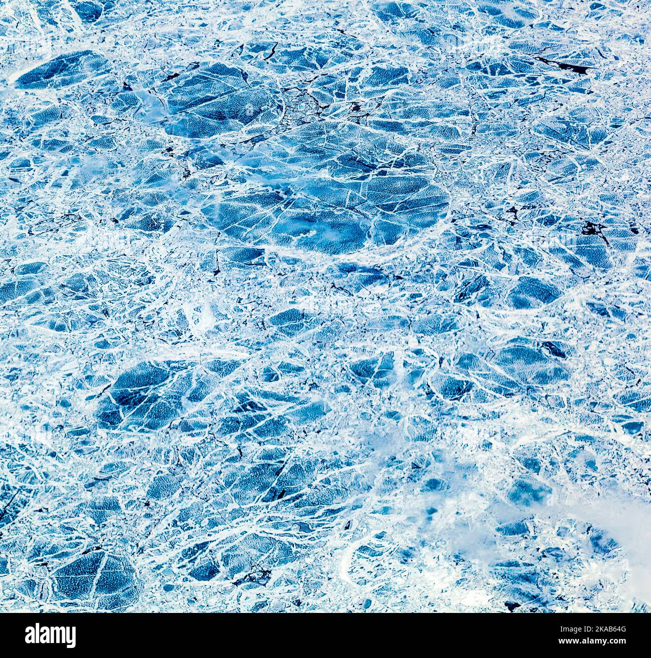 sheet of ice floating on the arctic ocean Stock Photo - Alamy