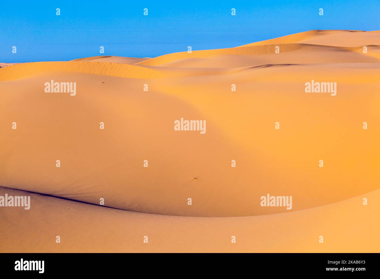 beautiful sand dune in sunrise in the desert Stock Photo - Alamy