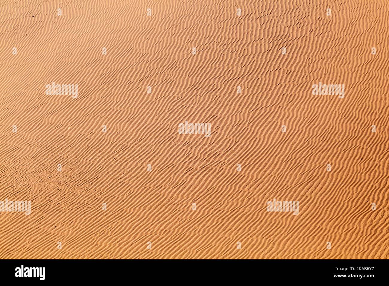 beautiful sand dune in sunrise in the desert Stock Photo - Alamy