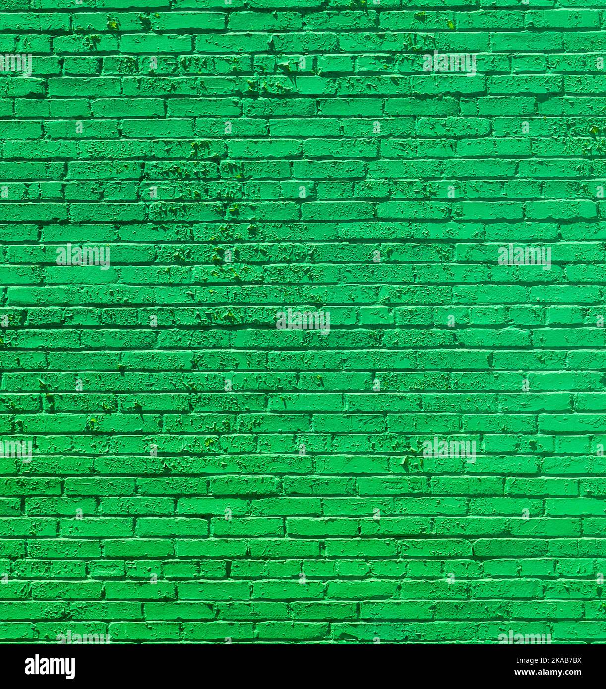 pattern of old historic brick wall in green Stock Photo - Alamy