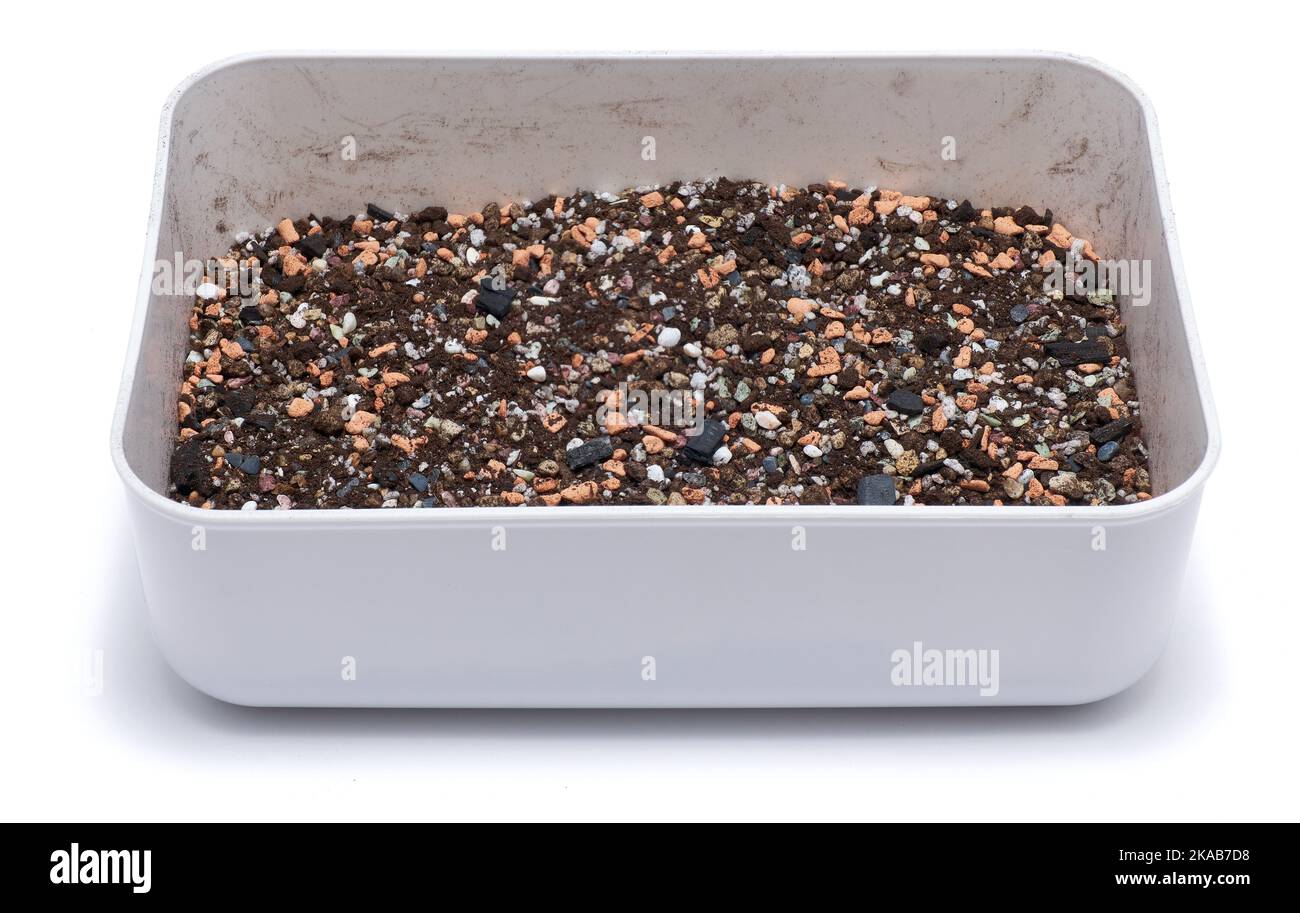 plastic box with substrate soil for transplanting houseplants isolated ...