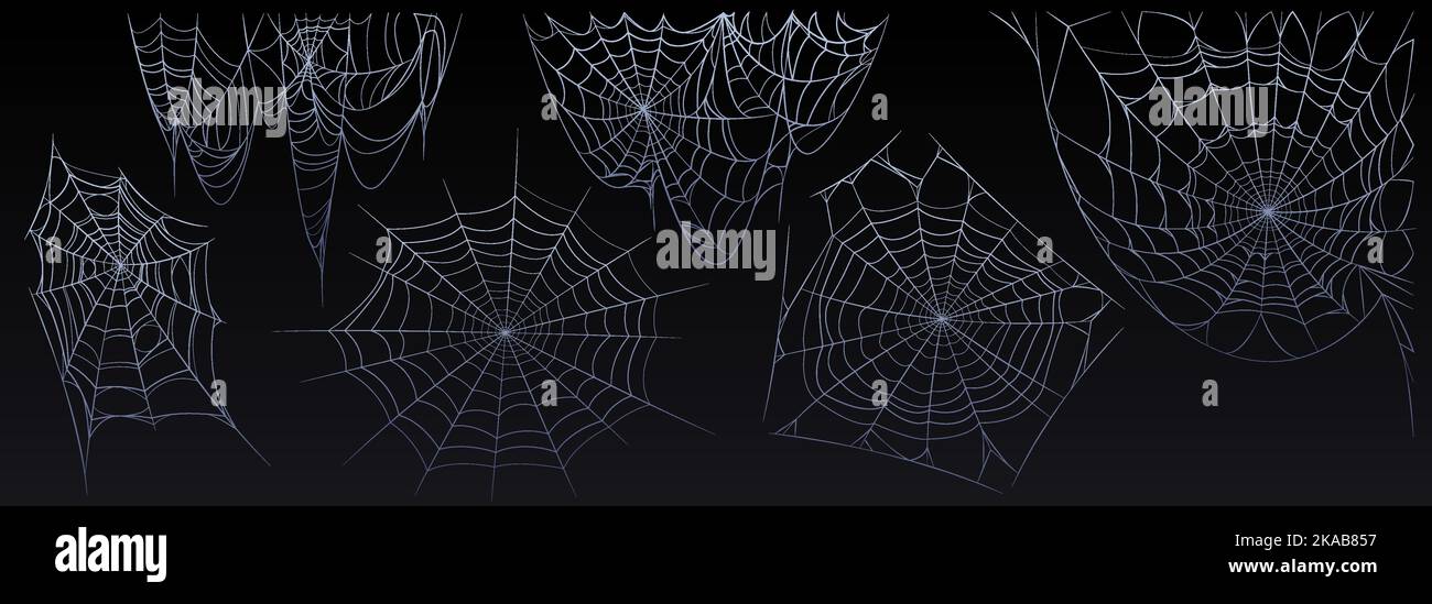 Set of tangled spiderweb hanging isolated on black background ...