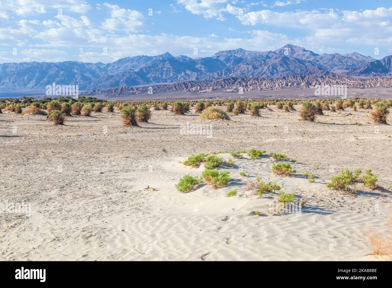 desert landscape in the death valley without people Stock Photo - Alamy