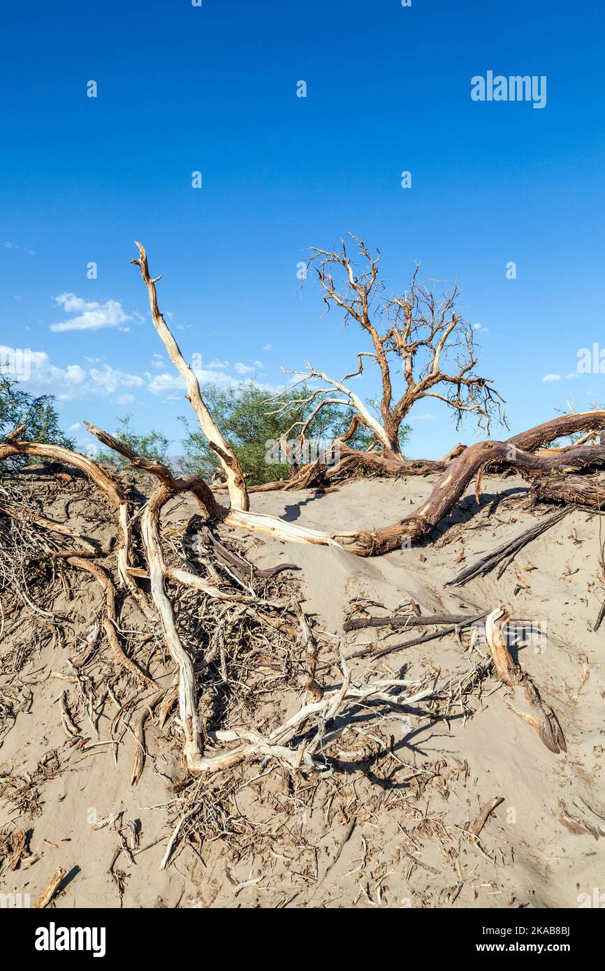 desert landscape in the death valley without people Stock Photo - Alamy