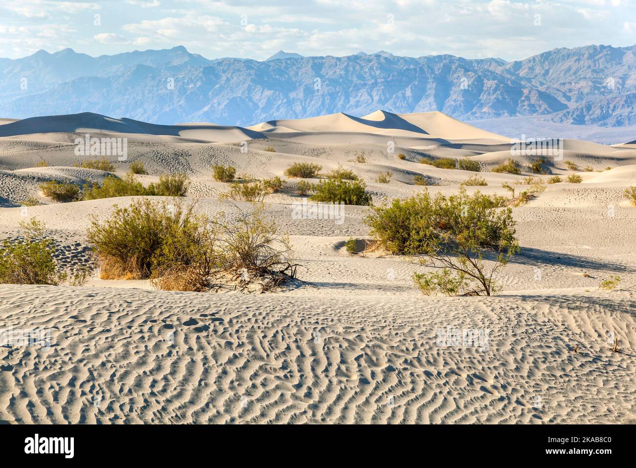 desert landscape in the death valley without people Stock Photo - Alamy