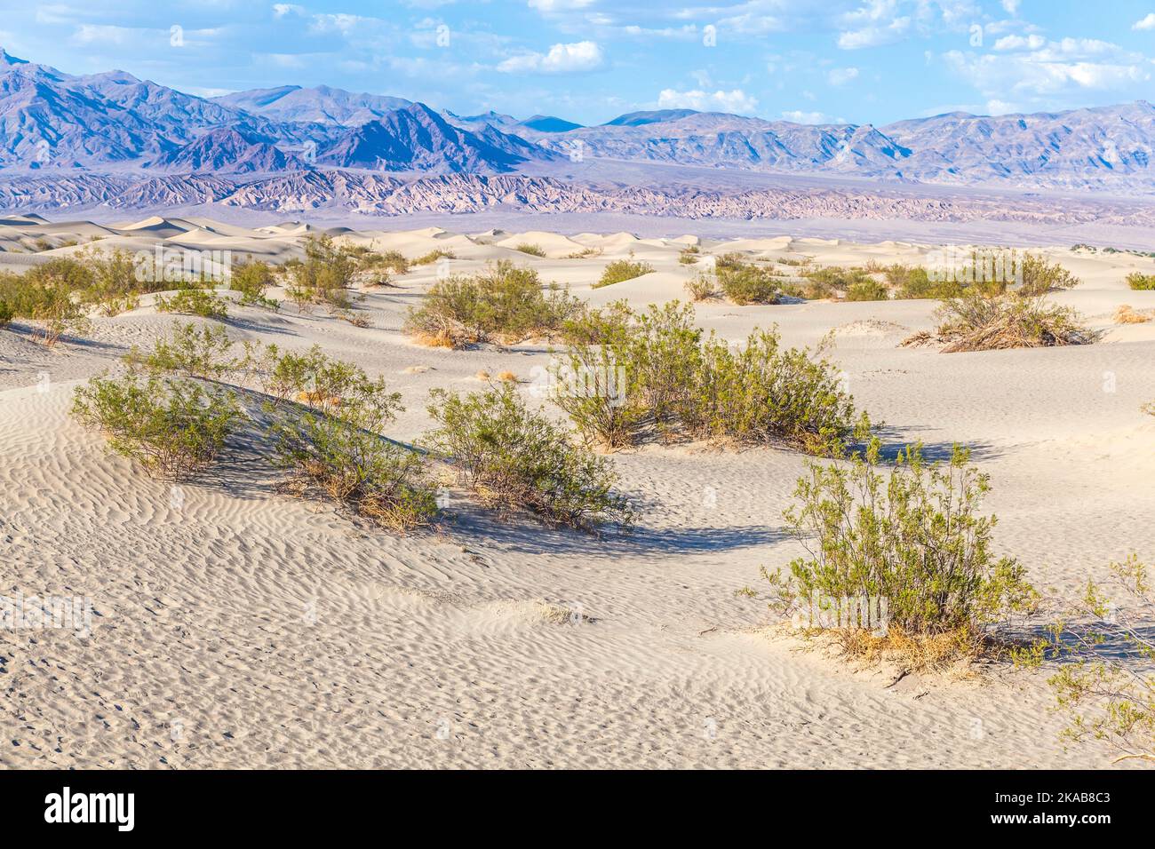 desert landscape in the death valley without people Stock Photo - Alamy