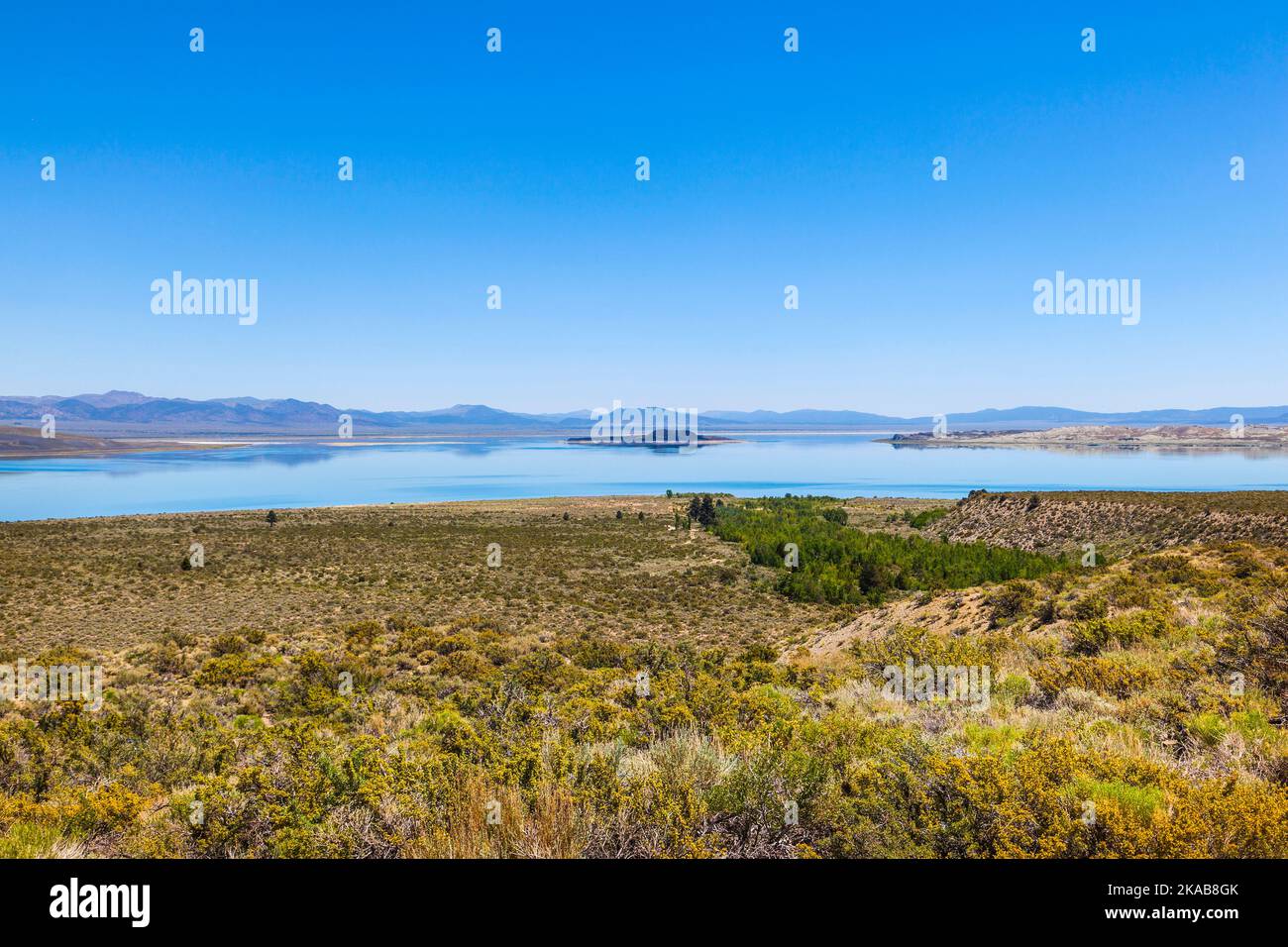 beautiful Mono Lake in California near Lee Vining Stock Photo - Alamy