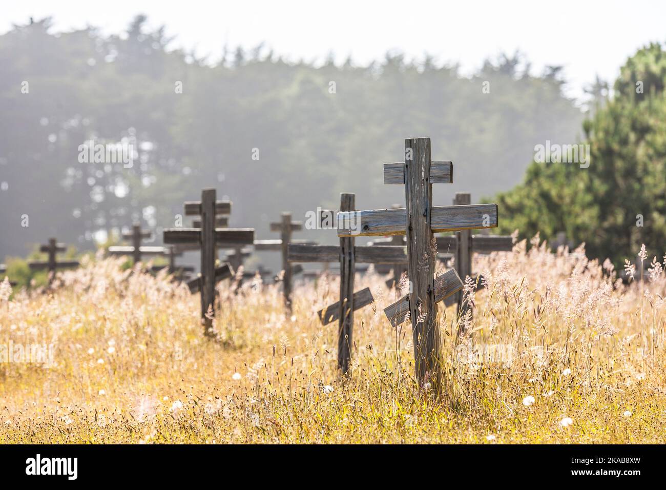 old wooden crosses at the historic orthodox cemetery of Fort Ross Stock ...