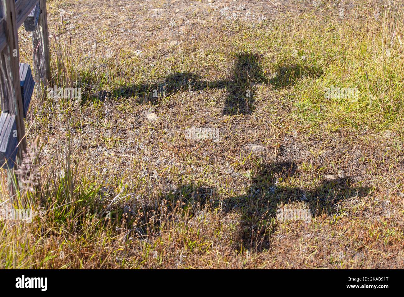old wooden crosses at the historic orthodox cemetery of Fort Ross Stock ...