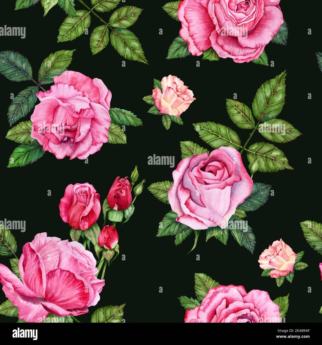 Watercolor Rose floral illustration seamless pattern. Hand drawn pink ...