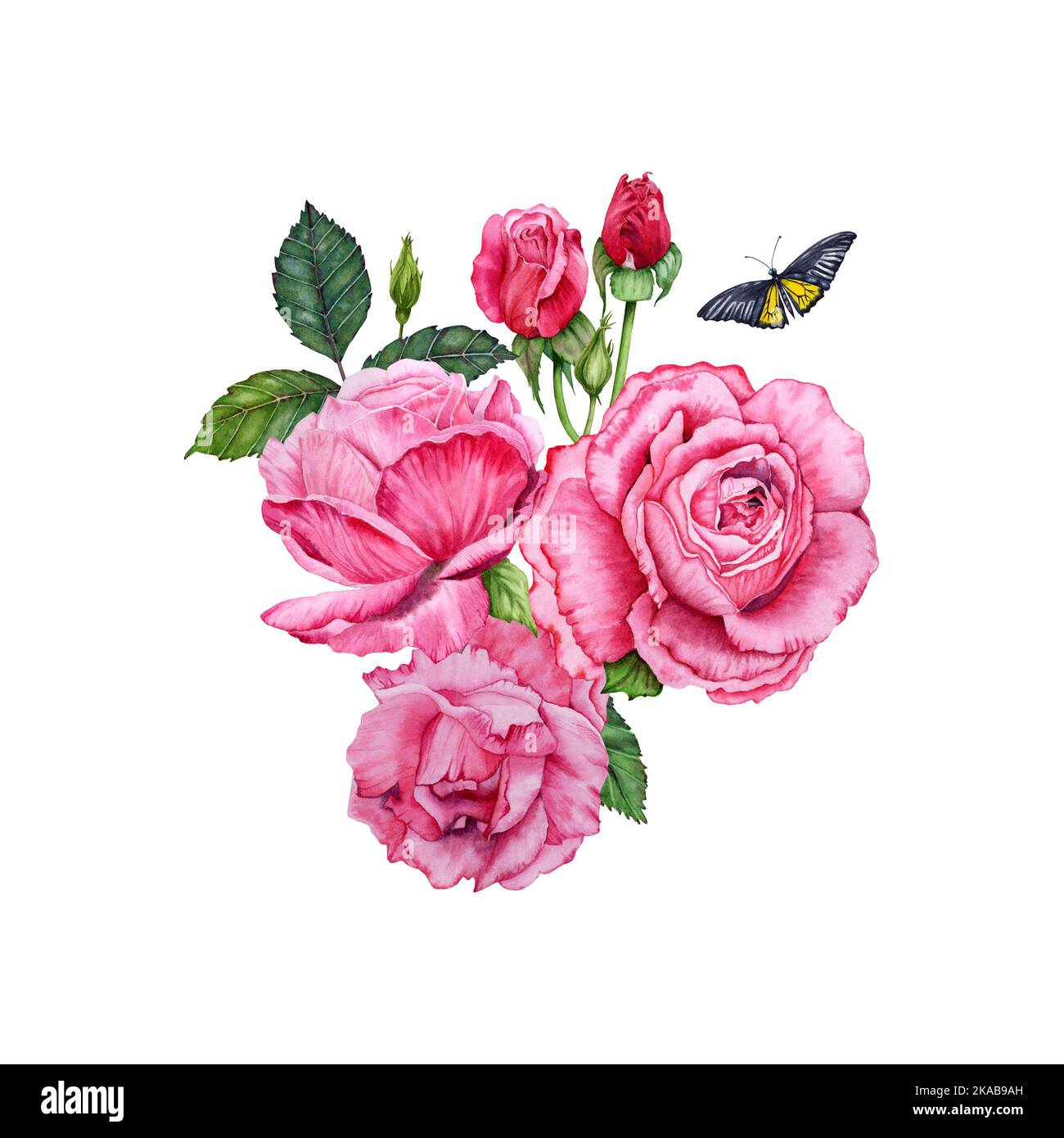 Rose and Buds watercolor floral illustration. DIY design for cards ...