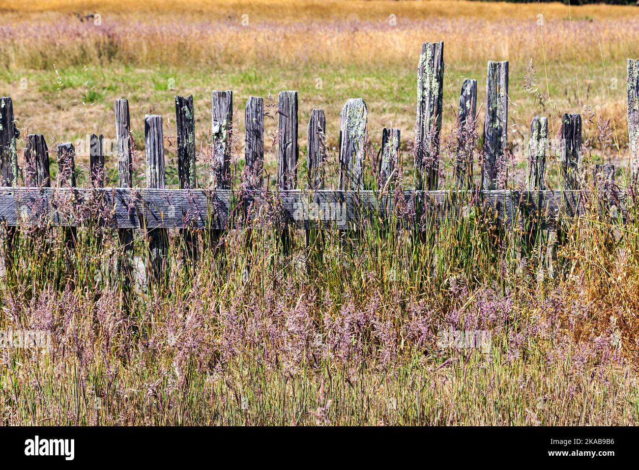 historic fence at Fort Ross State Historic Park Stock Photo - Alamy