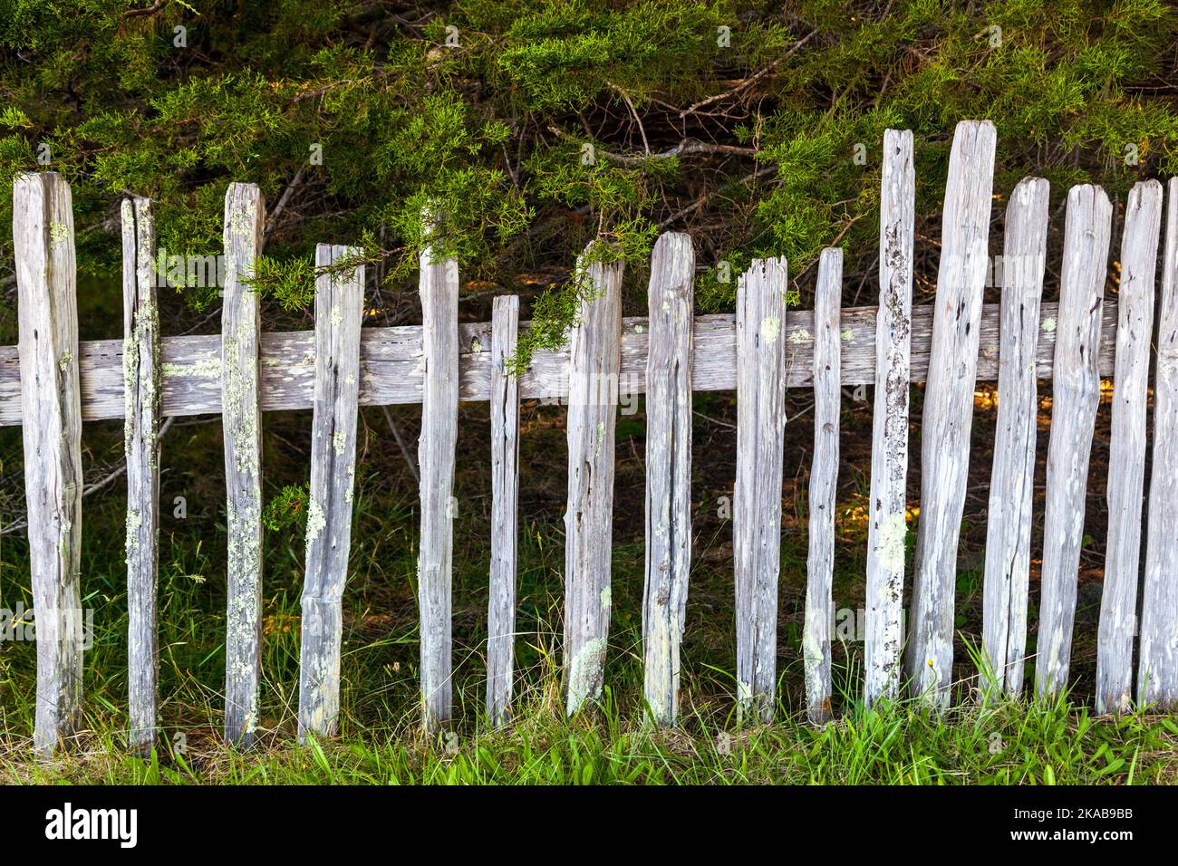 historic fence at Fort Ross State Historic Park Stock Photo - Alamy